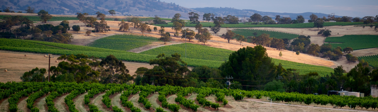 Barossa Valley Wine Tours from $119 | Barossa Valley Day Trips from ...