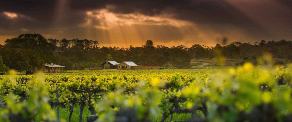 Barossa Valley Wine Tours from $119 | Barossa Valley Day Trips from ...