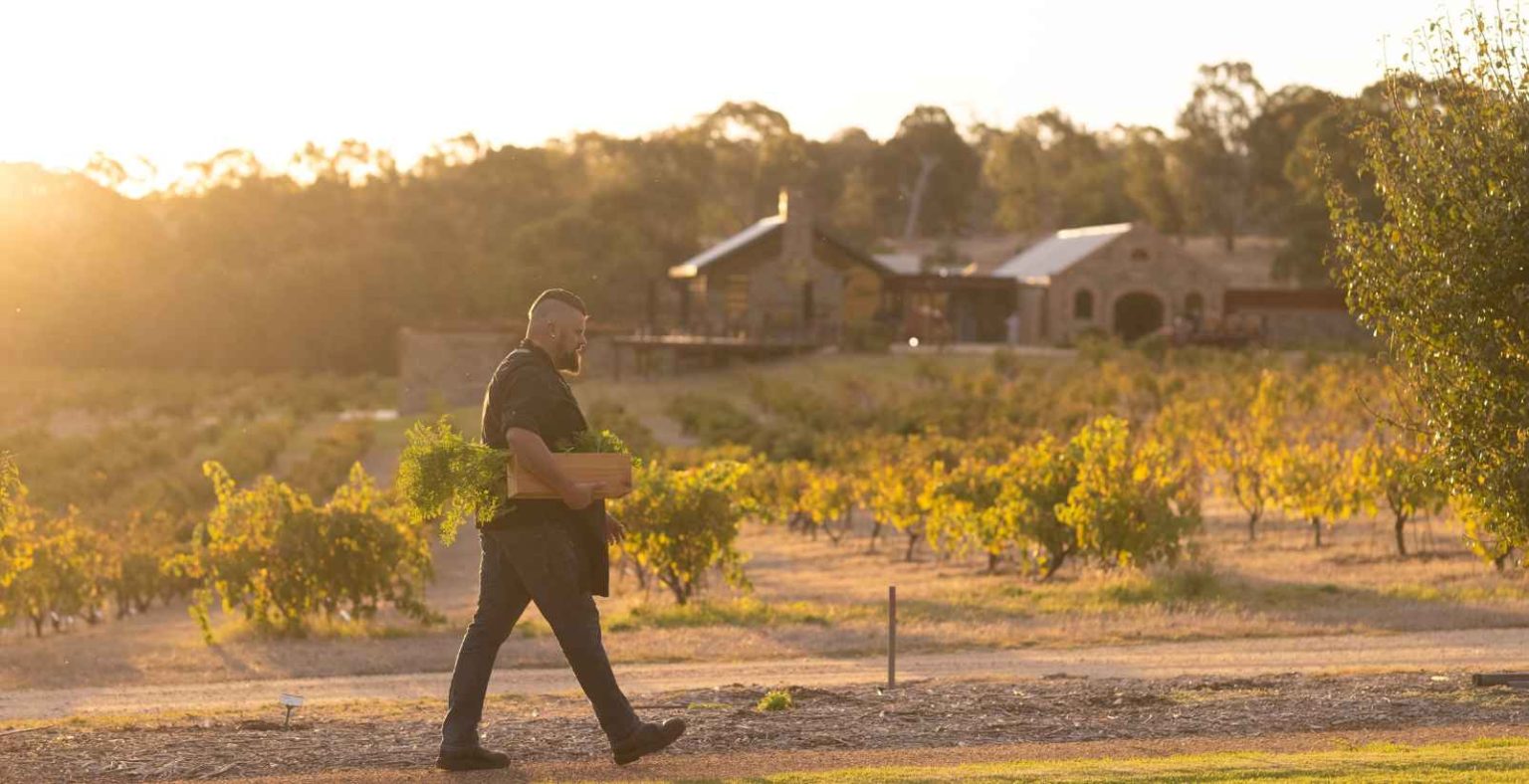 Barossa Valley Wine Tours from $119 | Barossa Valley Day Trips from ...