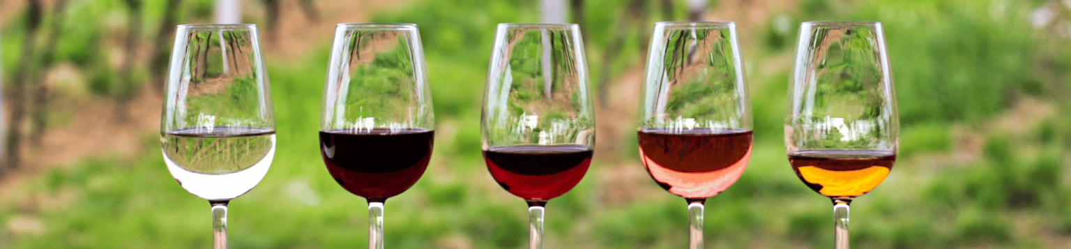 Barossa Valley Wine Tours from $119 | Barossa Valley Day Trips from ...